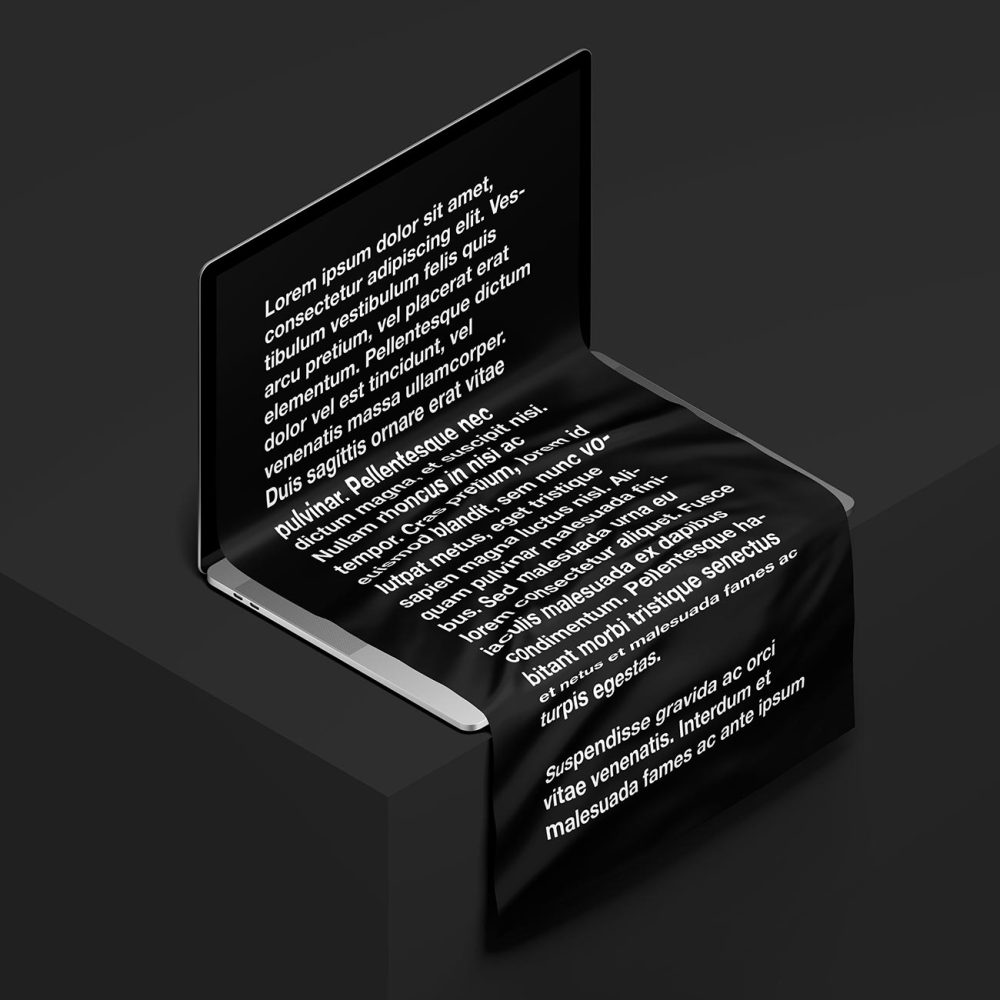 Bridge | Portfolio Creative